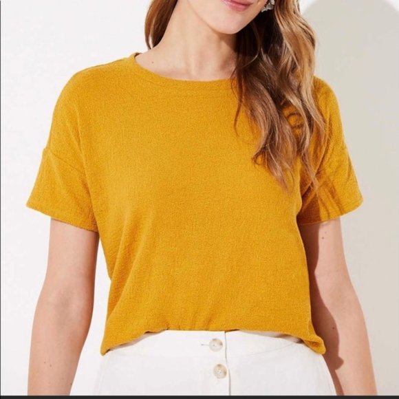 LOFT | Tops | Loft Mp Pm Gold Mustard Yellow Dolman Sleeve Crop ...